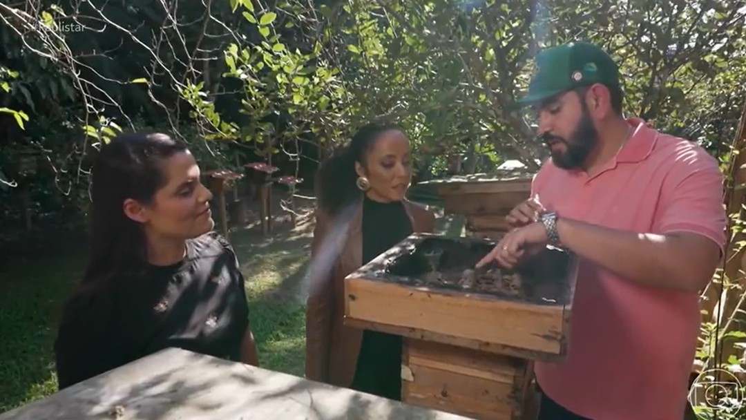 Paulistar | Programa da TV Globo | gshow