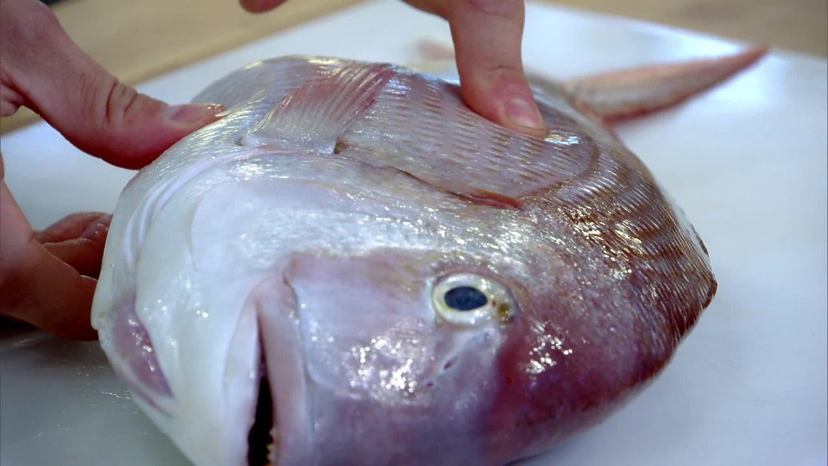 'Supermercado do Chef': Leo Paixão dá dicas de como comprar peixes ...