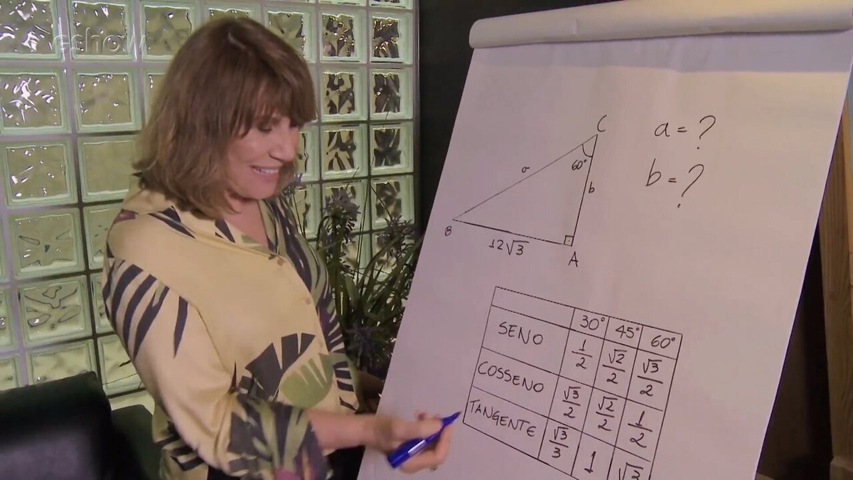 Renata Sorrah tenta resolver questões matemáticas brincando com meme da ...