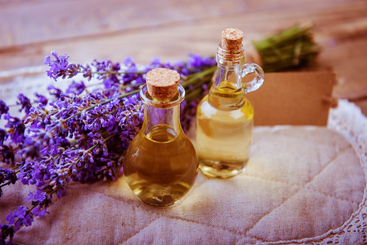 Conheça os poderes da lavanda, uma fragrância leve e relaxante ...