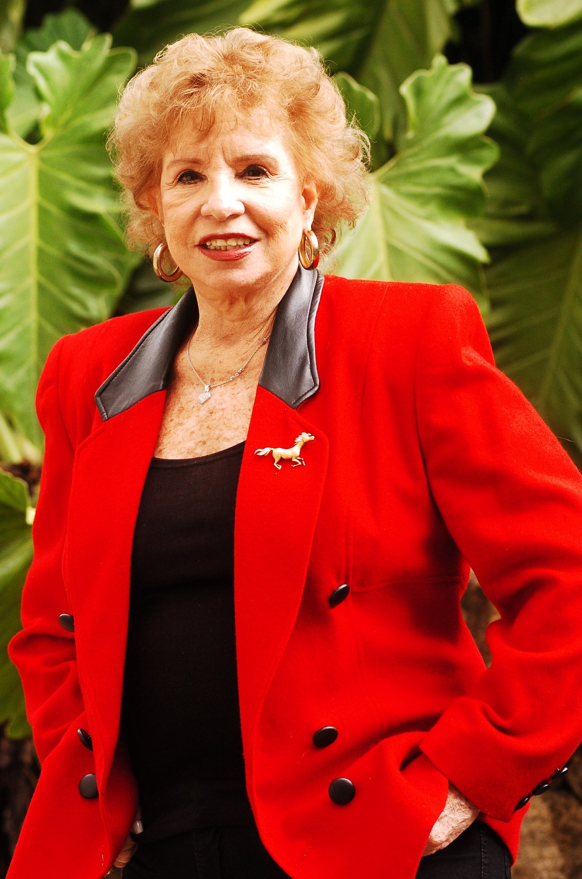 Atriz Daisy Lúcidi morre aos 90 anos; relembre carreira | Famosos | gshow