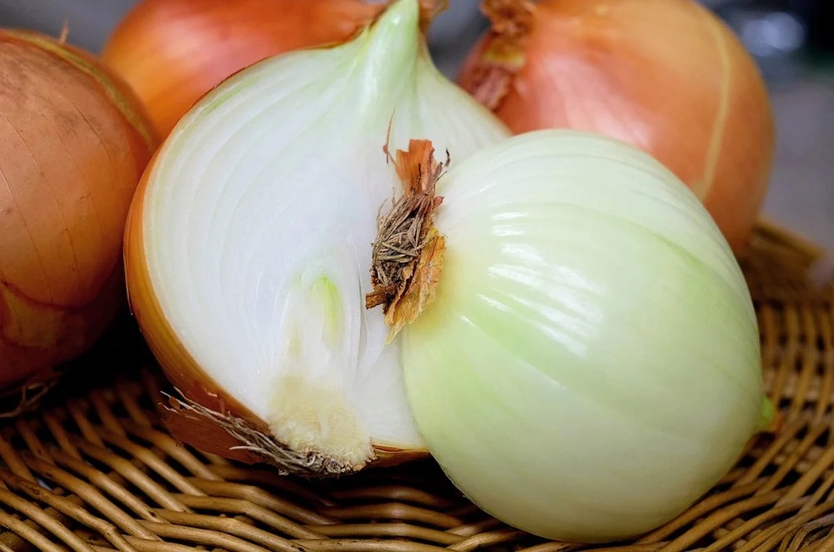 Cebola: confira dicas para armazenar e conservar o alimento por mais ...