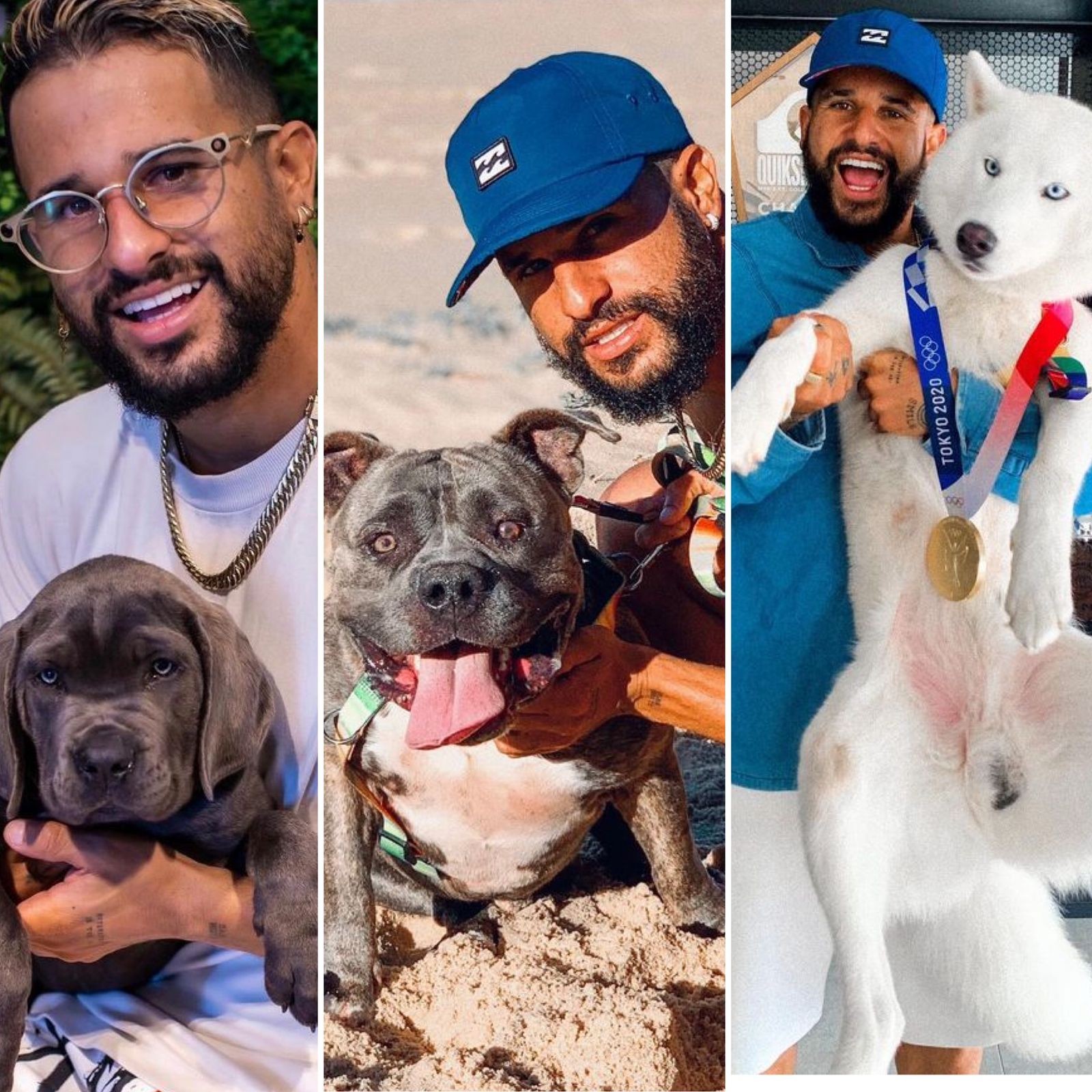Cachorros dos famosos: conheça os que têm perfil na rede social e ...