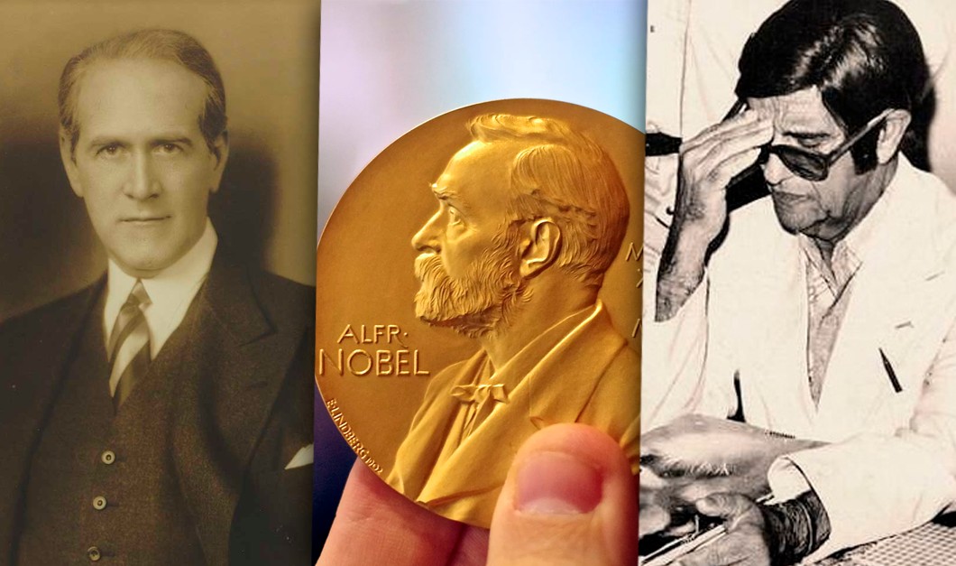Prêmio Nobel da Paz; veja brasileiros que já foram cotados | Gshow