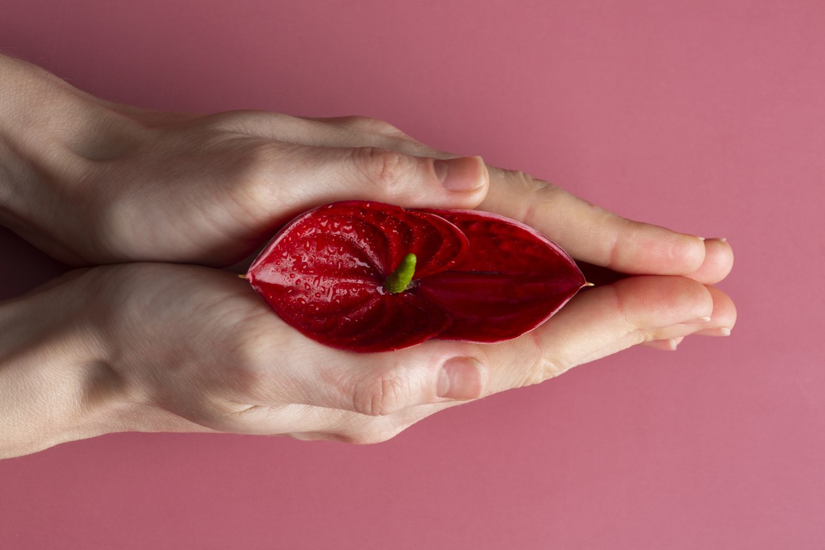 Harmonização vaginal com botox, laser e preenchimento: 8 procedimentos ...