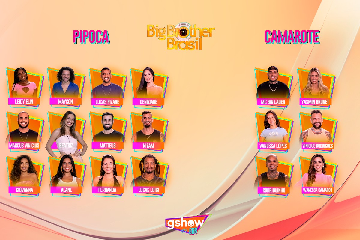 Viagens pelo mundo, pets e dancinhas: veja últimos posts dos brothers ...