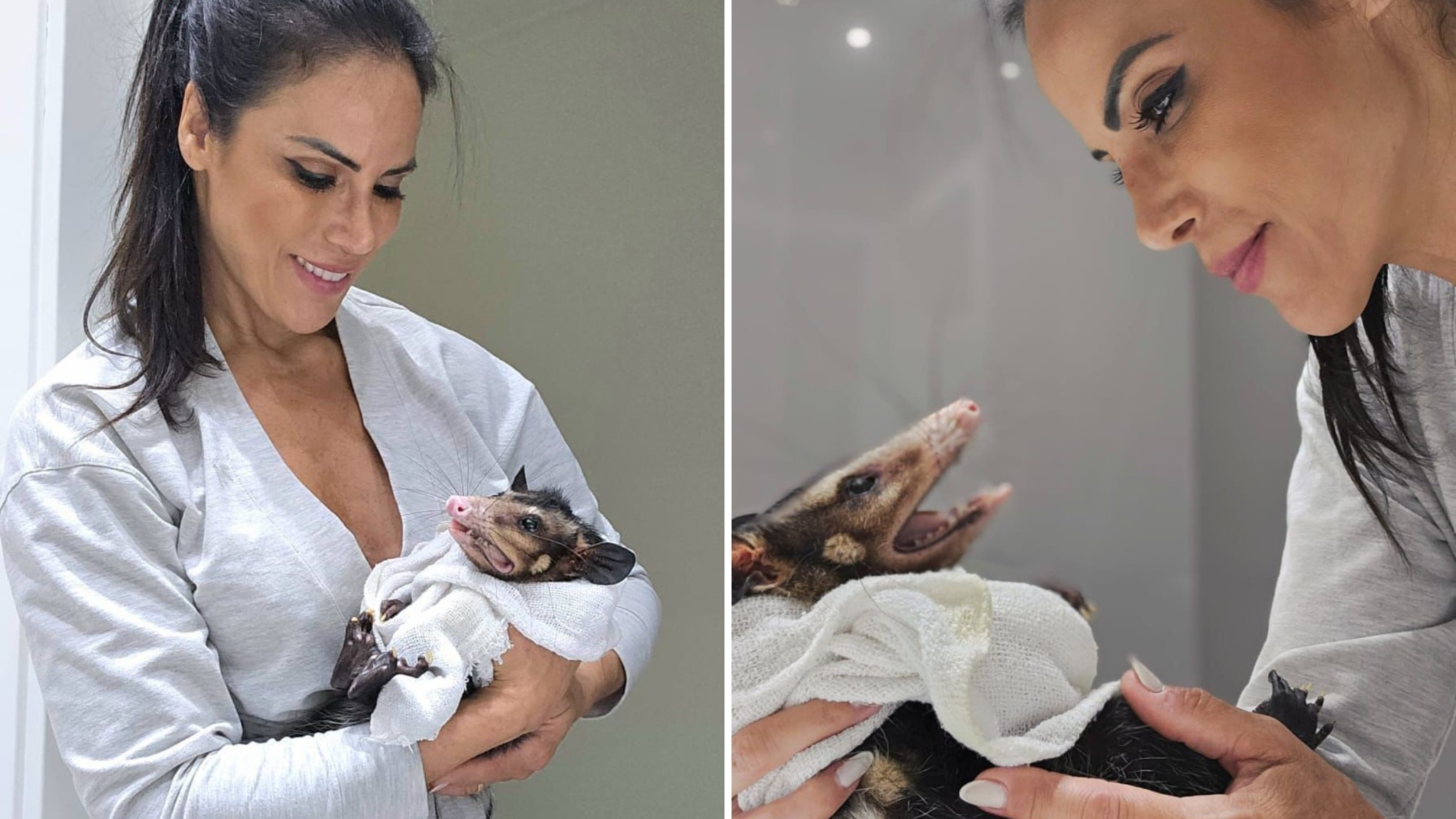 Rainha da Estácio, que é veterinária, salva gambá no consultório ...