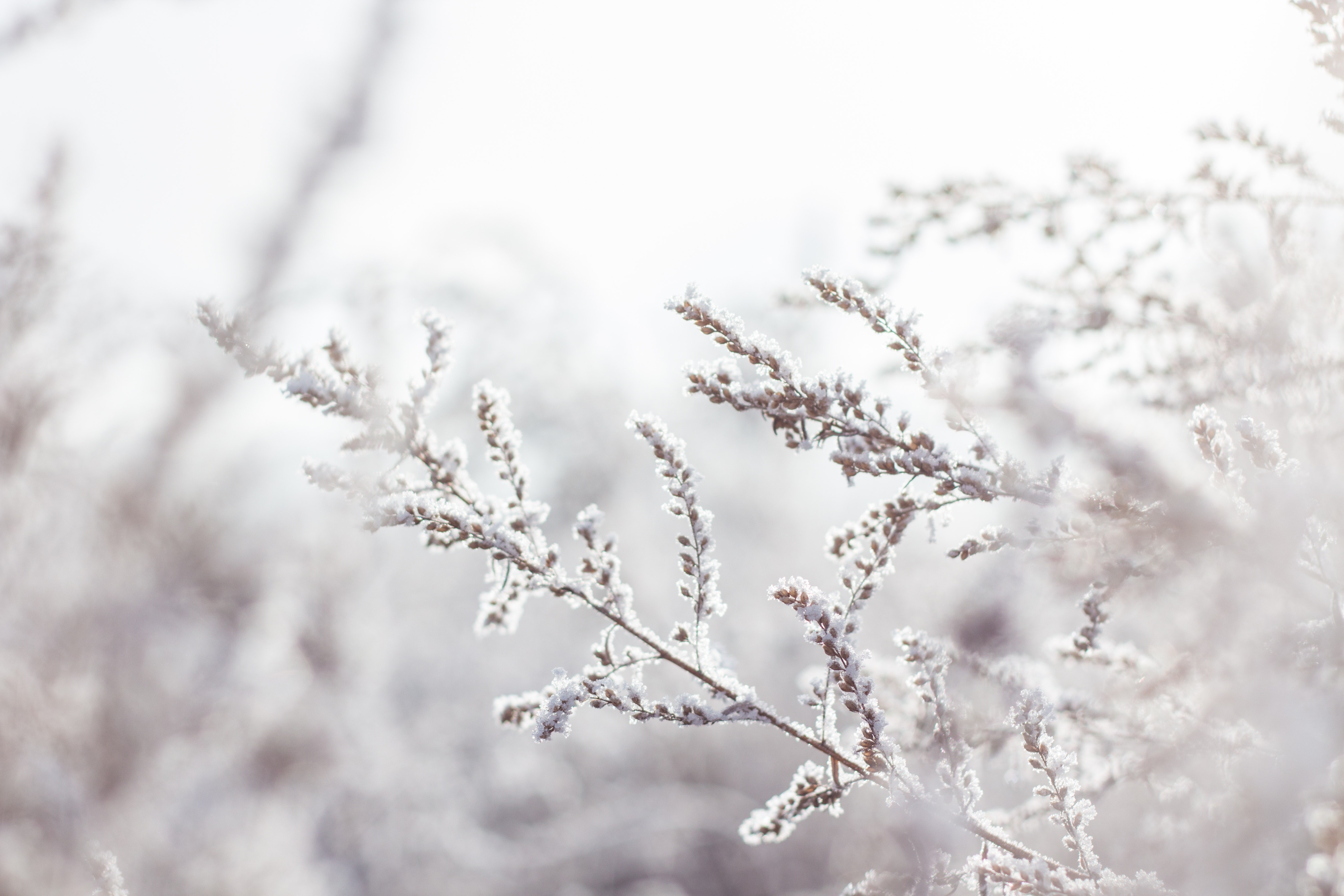 O que o solstício de inverno significa para cada signo | Horóscopo Etc ...