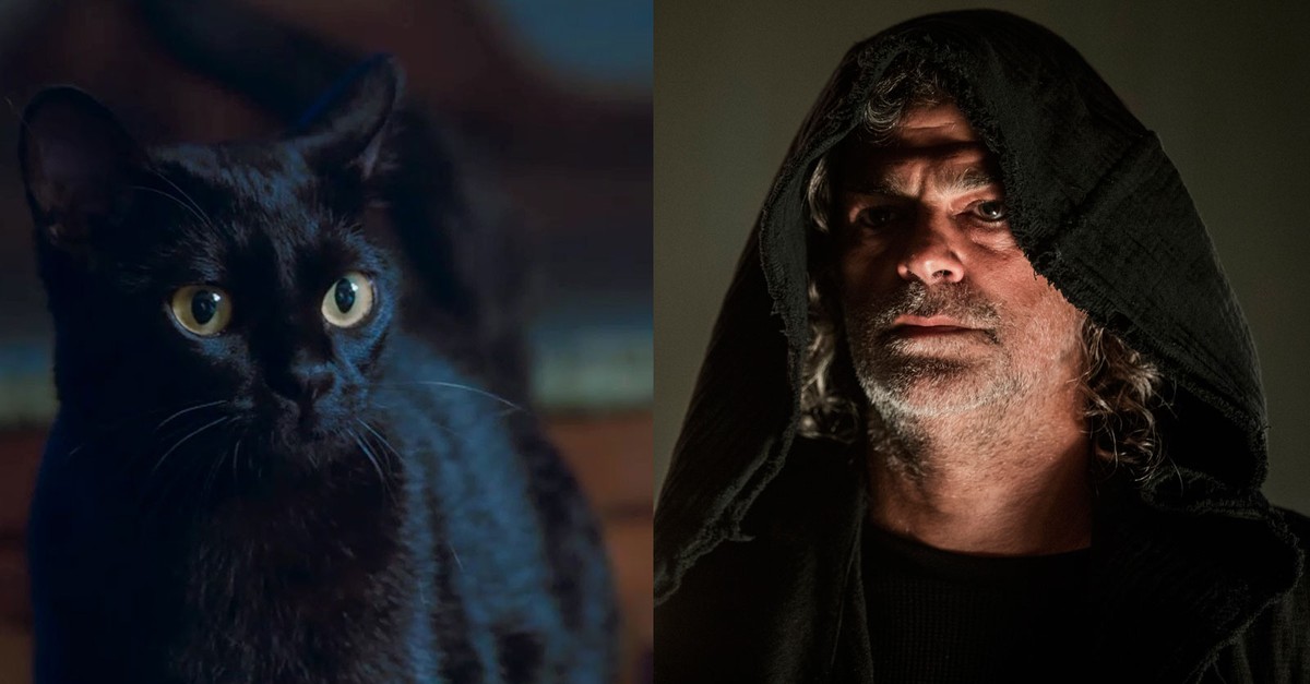 Separamos os melhores momentos de León; assista aos vídeos! | O Sétimo ...