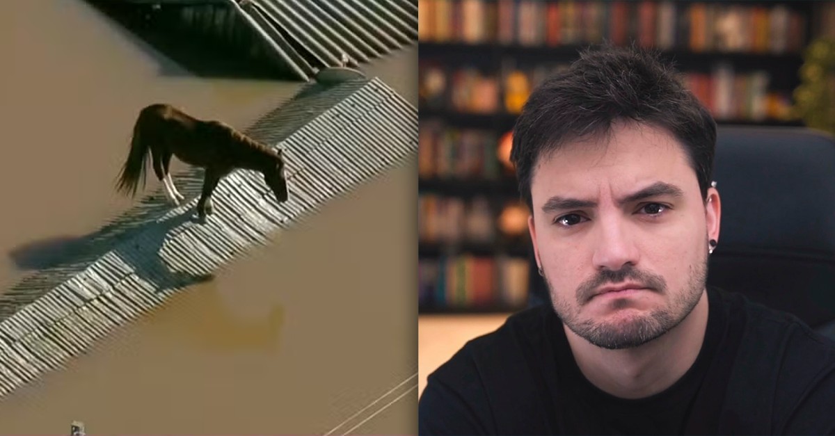 Felipe Neto atualiza estado de cavalo ilhado em Canoas: 'Equipe de ...