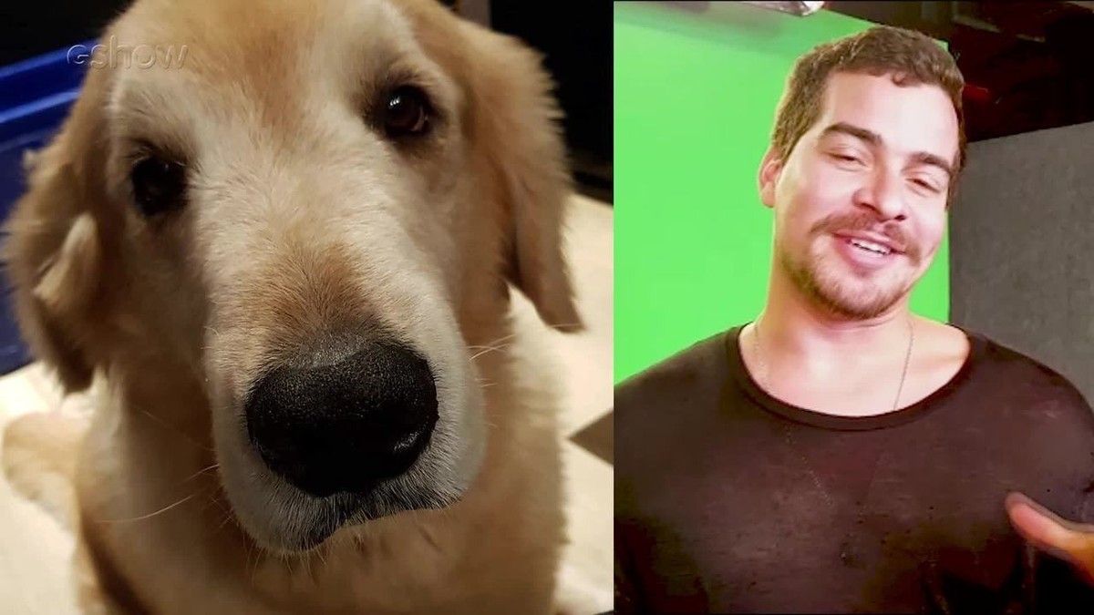Thiago Martins fala da relação com seu cachorro: 'Está sempre do meu ...