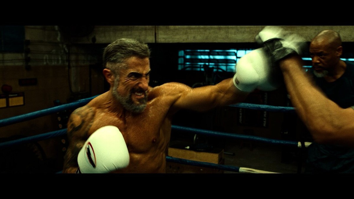 Marcos Mion surge como lutador de MMA e mostra corpo trincado em ...