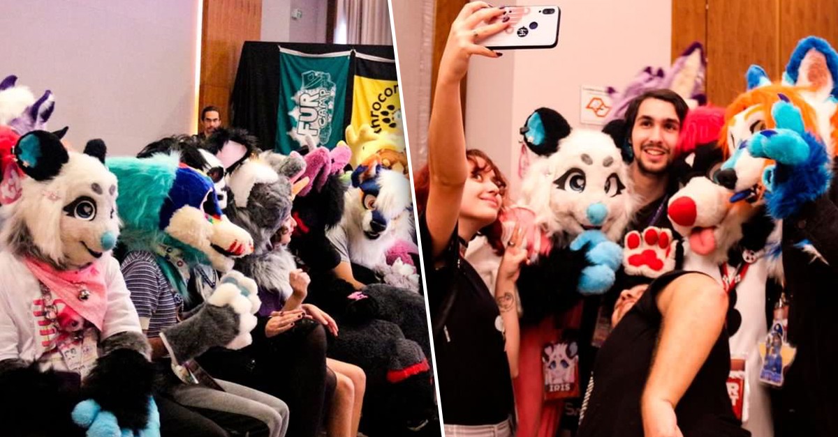 O que é furry? Conheça a comunidade de pessoas que se fantasiam de ...