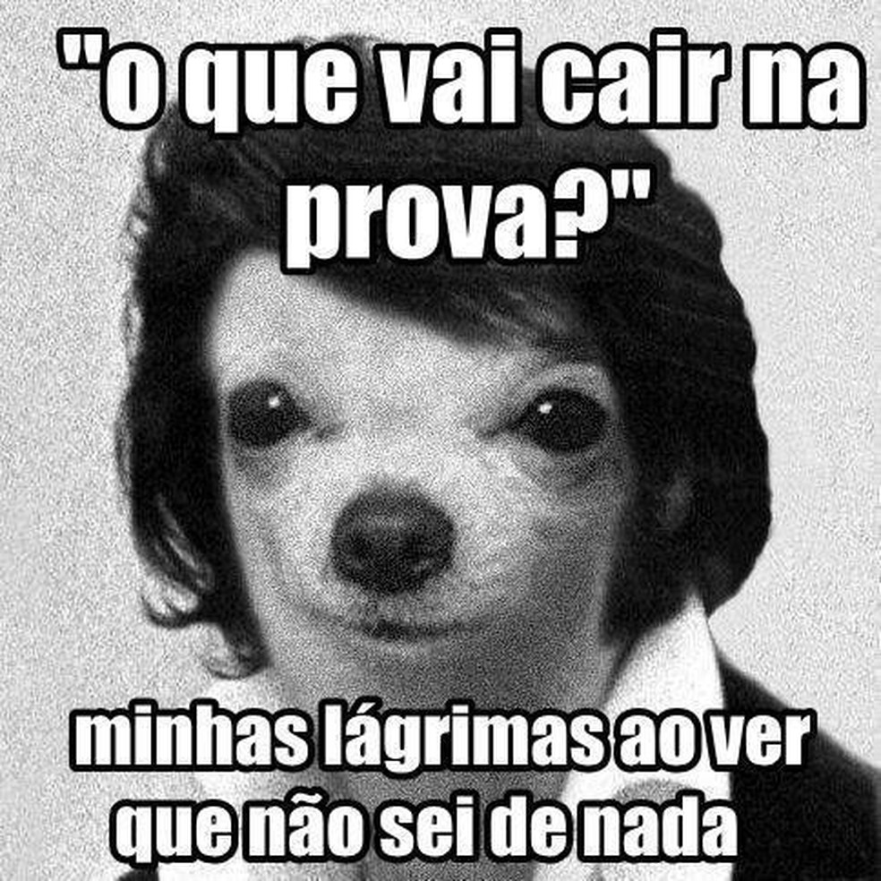 Memes Da Prova