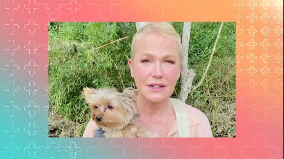 Xuxa responde convite de banda da Islândia que viralizou com 'Ilariê ...