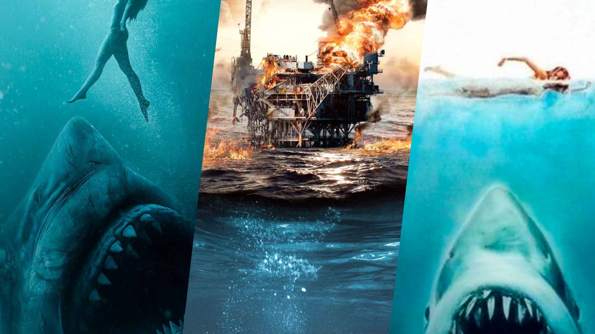 Os melhores filmes sobre tubarões e sobrevivência em alto-mar no ...