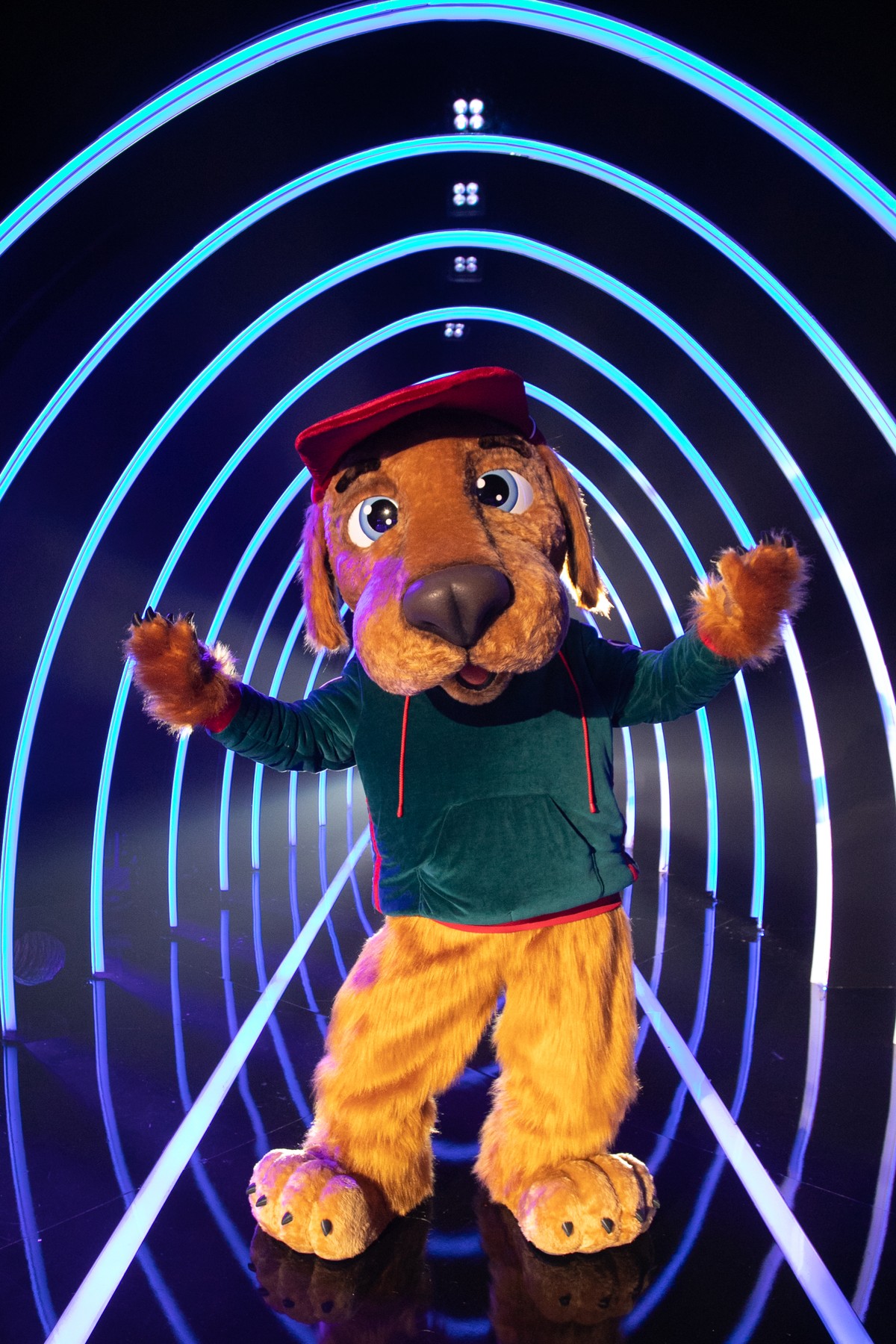 Quem é o Cachorro do 'Masked': confira todas as dicas, palpites e ...