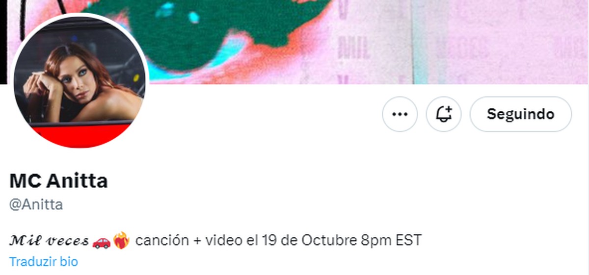 MC Anitta: cantora volta com antigo nome artístico nas redes e é ...