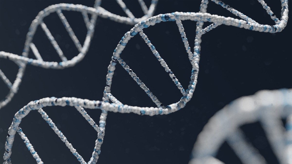 DNA Astrológico: Descubra como a sua família é influenciada pela ...