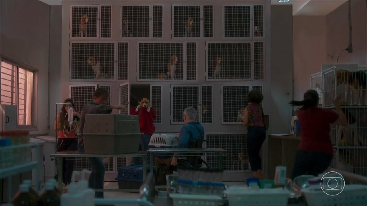 Ísis e Giovanni X Miriam e Gil: comparamos as duas versões do casal ...