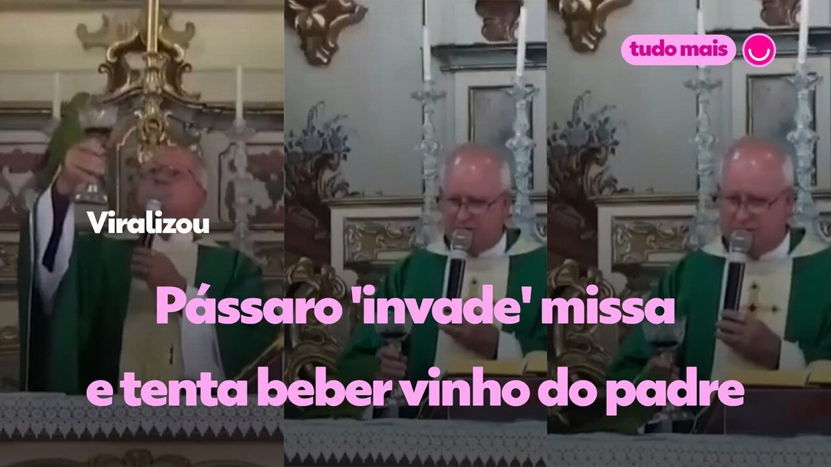 Pássaro 'invade' missa e tenta beber vinho do padre | Viralizou | gshow