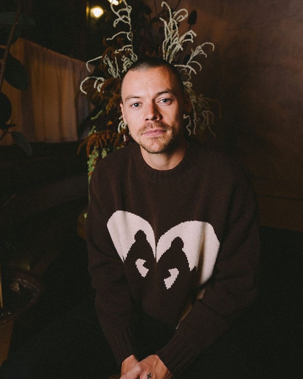 Visualizacao De Perfil De Harry Styles