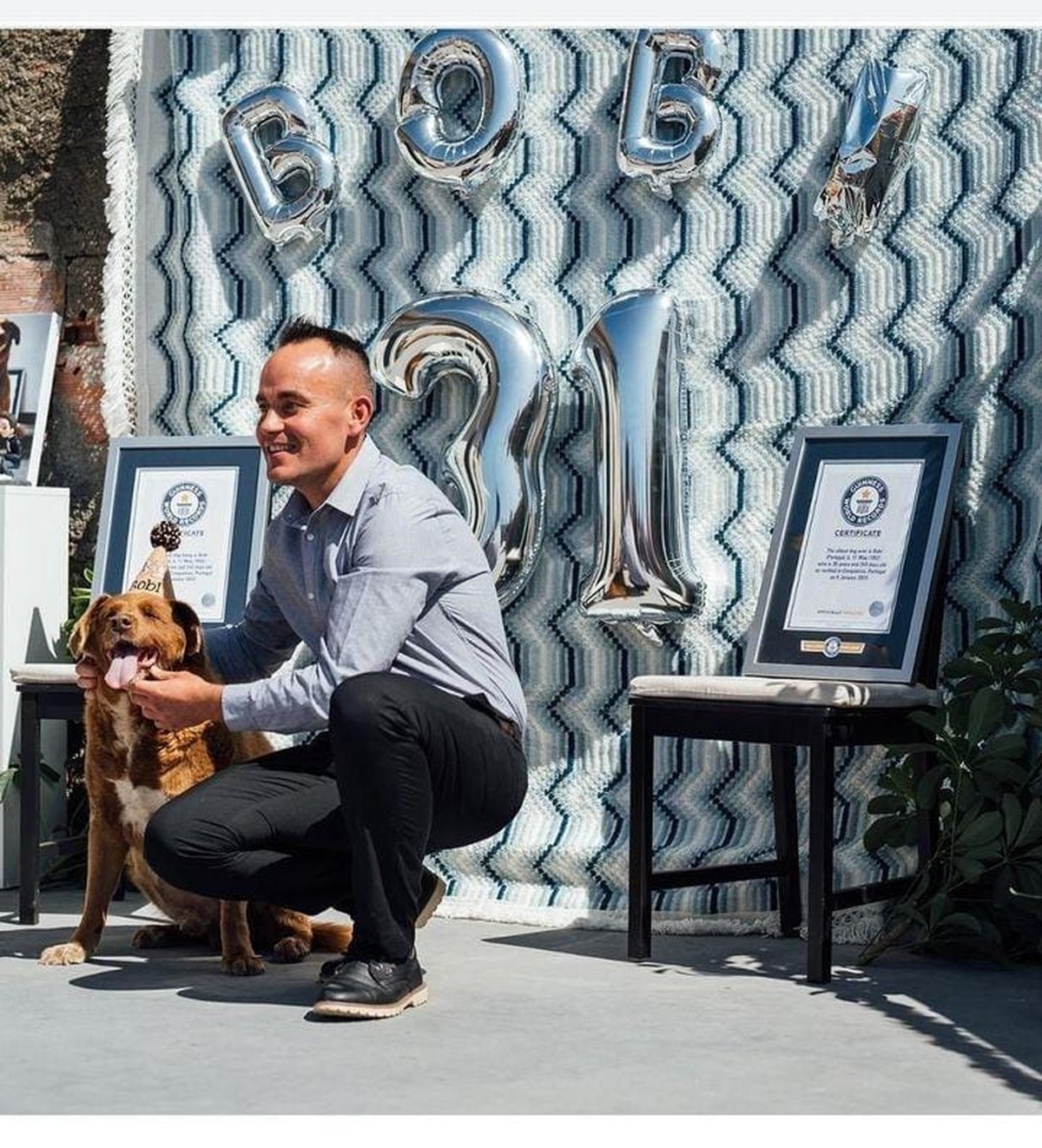 Dono de Bobi, o 'cachorro mais velho do mundo', revela segredo da ...