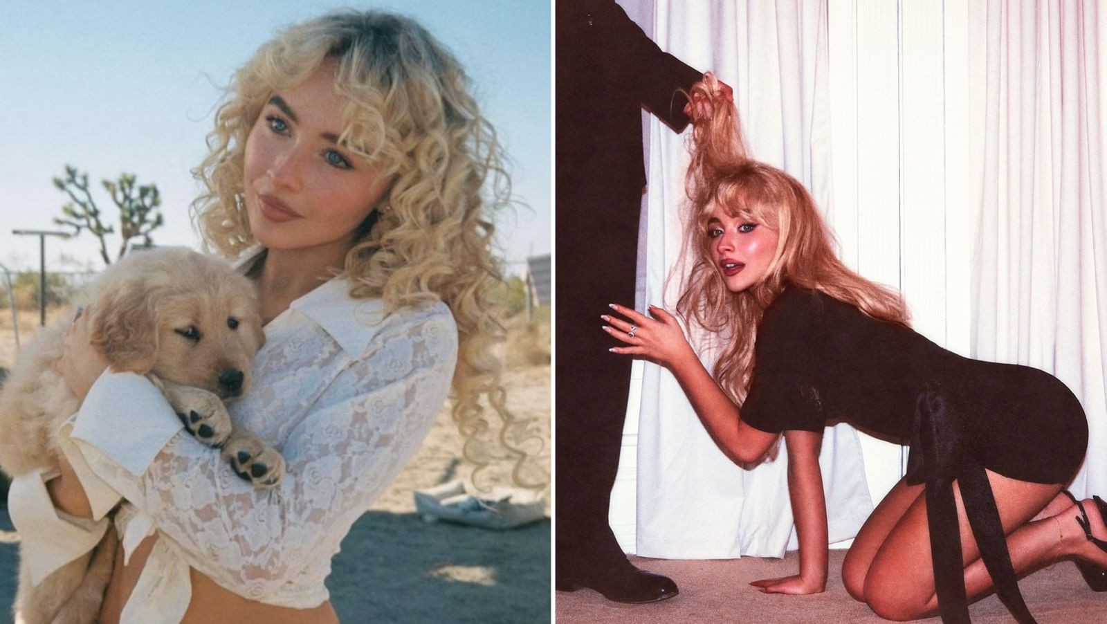 Sabrina Carpenter anuncia o álbum 'Man's Best Friend' e capa do projeto causa polêmica nas redes ...