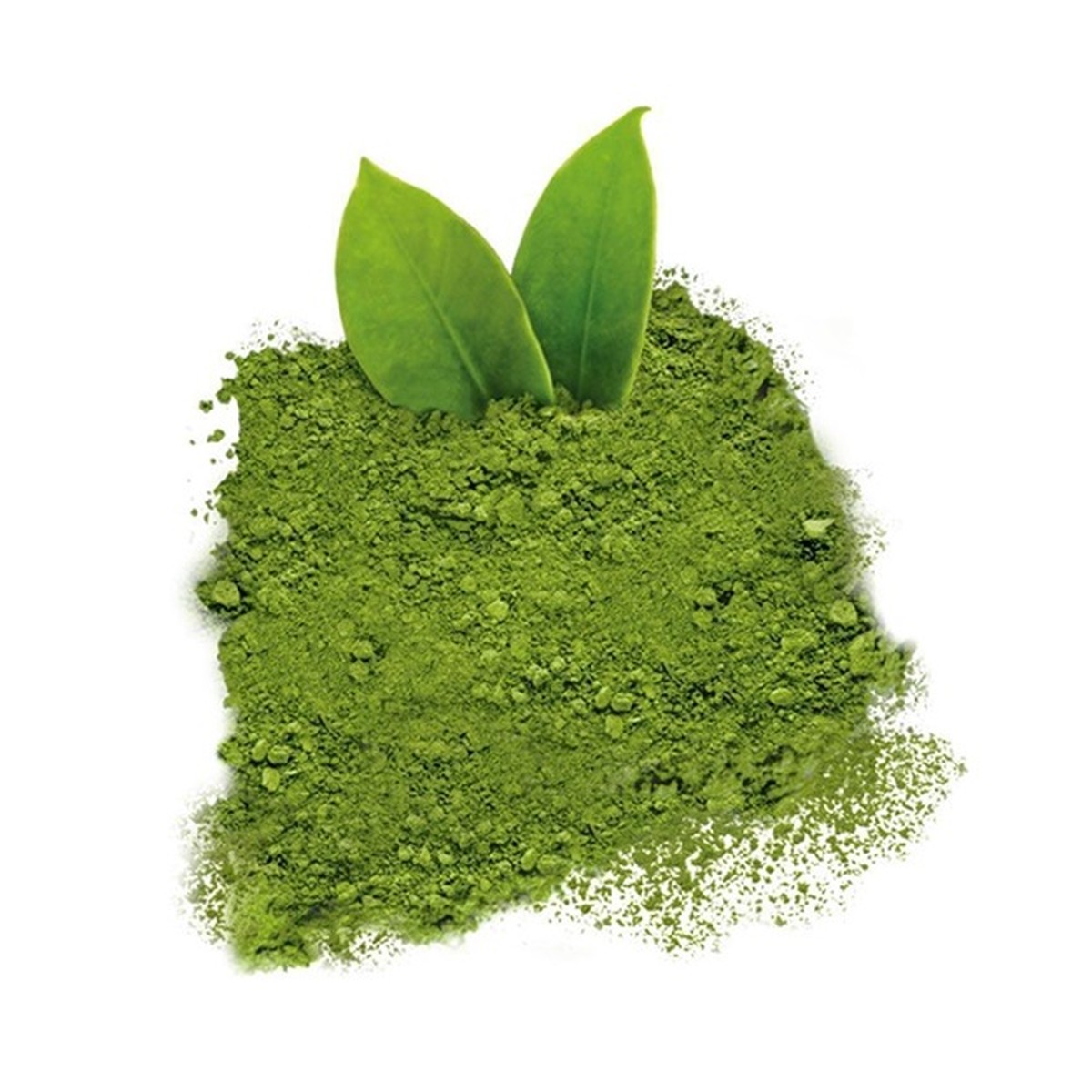 Conheça as origens do matcha e descubra cinco curiosidades sobre o chá ...