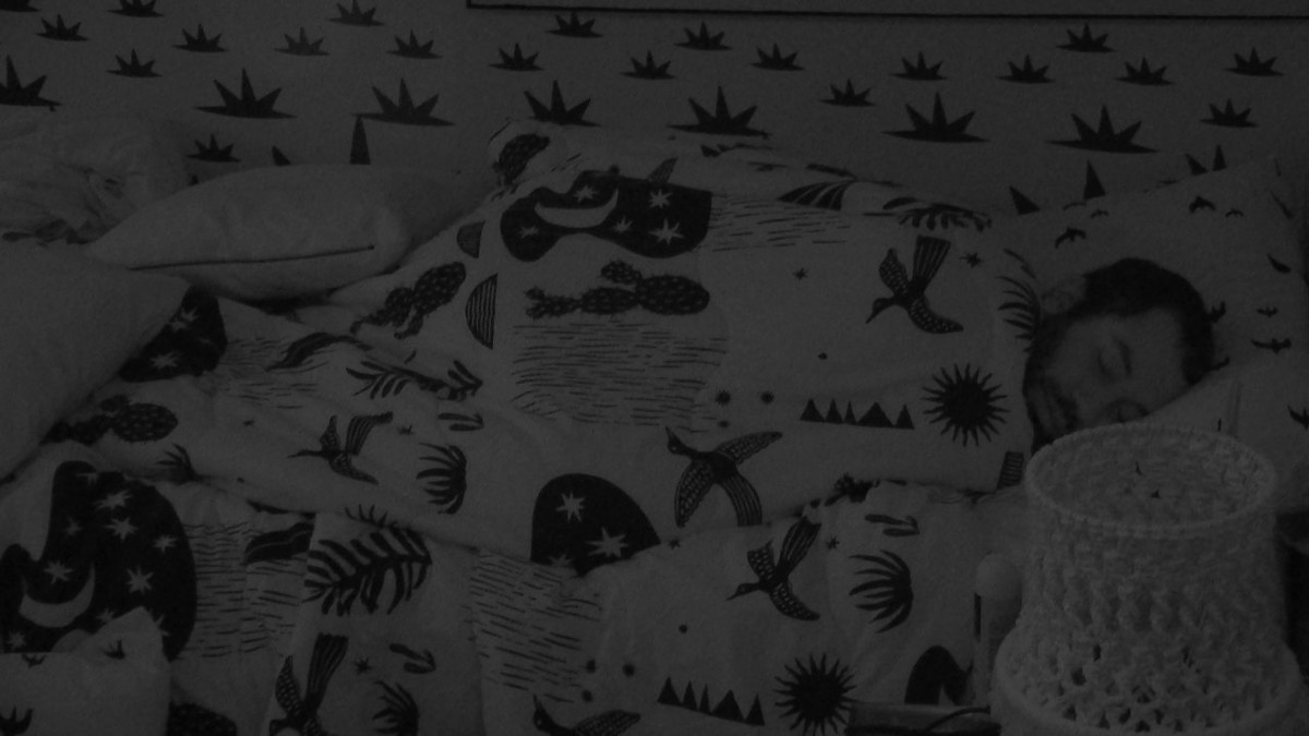 Após noite de eliminação, Prova do Líder e formação de Paredão, todos ...